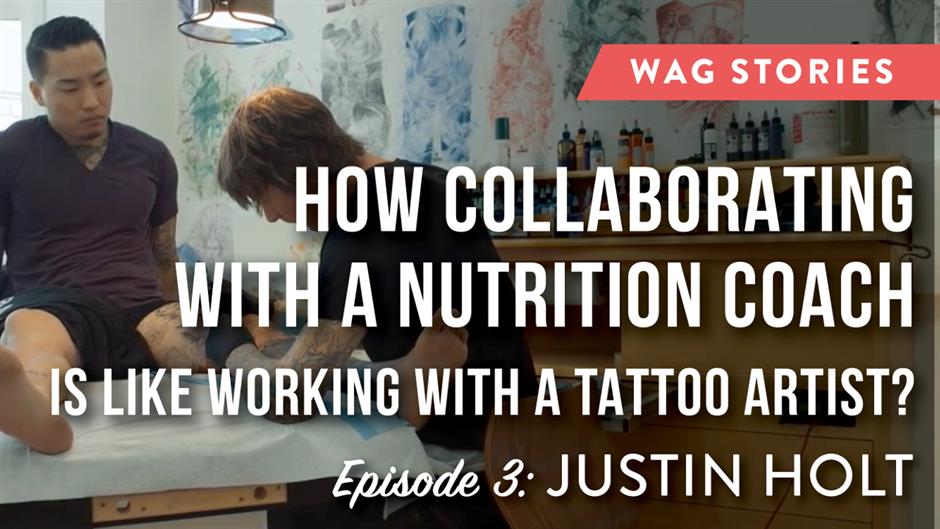 WAG Stories Justin Holt: Collaborating With a Nutrition Coach - Working ...